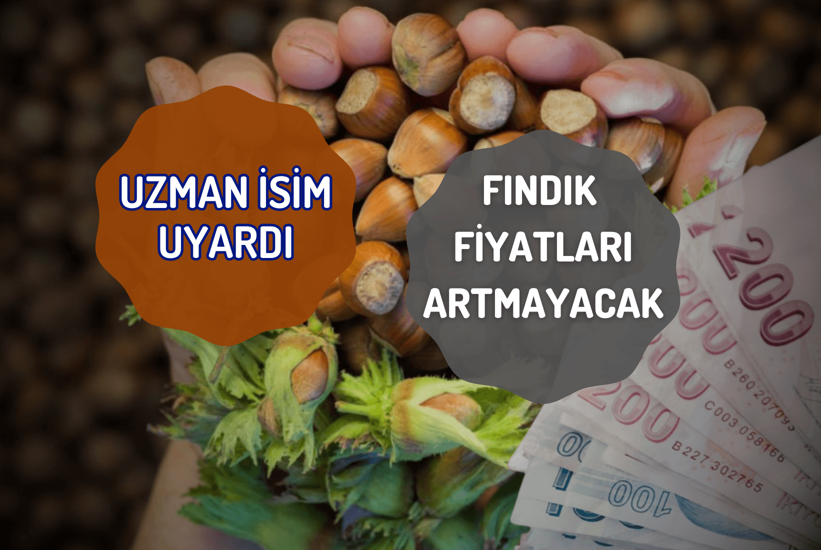 Uzman İsim Uyardı!! FINDIK Fiyatı artmayacak! | FINDIK TV