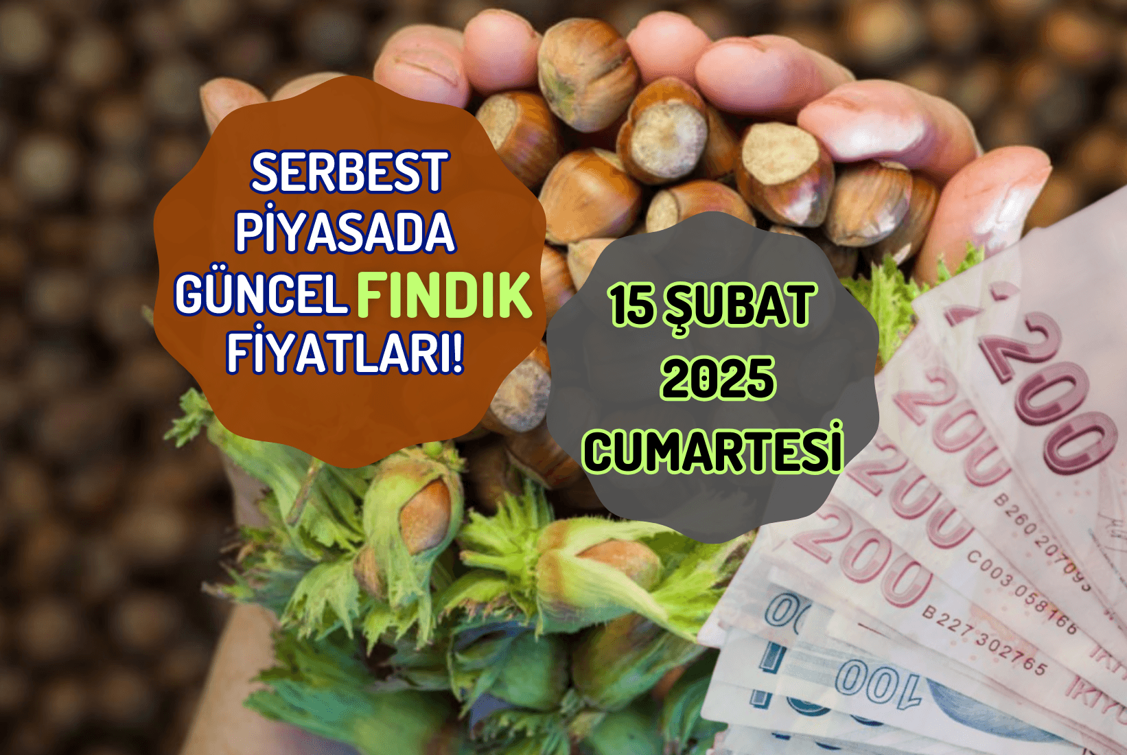 Serbest Piyasada Güncel FINDIK Fiyatları! 15 ŞUBAT 2025 CUMARTESİ ...