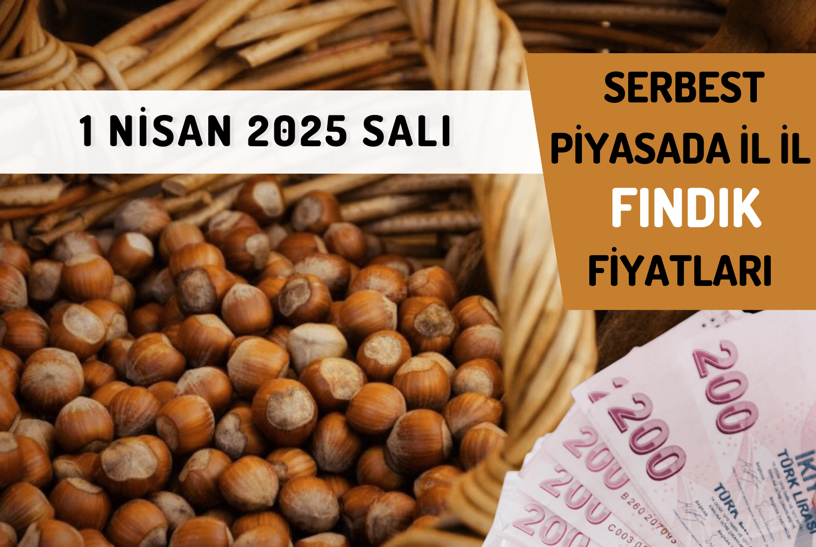 Serbest Piyasada il il FINDIK Fiyatları! 1 NİSAN 2025 SALI | FINDIK TV