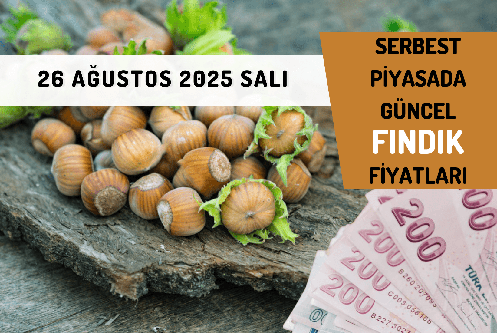 Serbest Piyasada Güncel FINDIK Fiyatları! 26 AĞUSTOS 2025 SALI | FINDIK TV