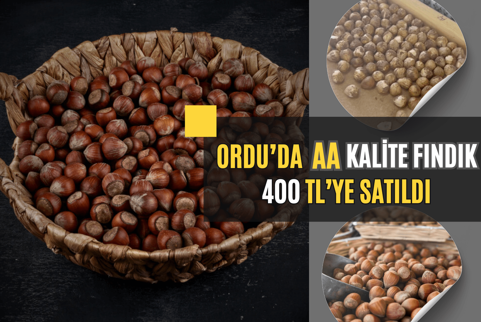 Ordu'da AA Kalite Fındık 400 TL'den Satıldı! | FINDIK TV