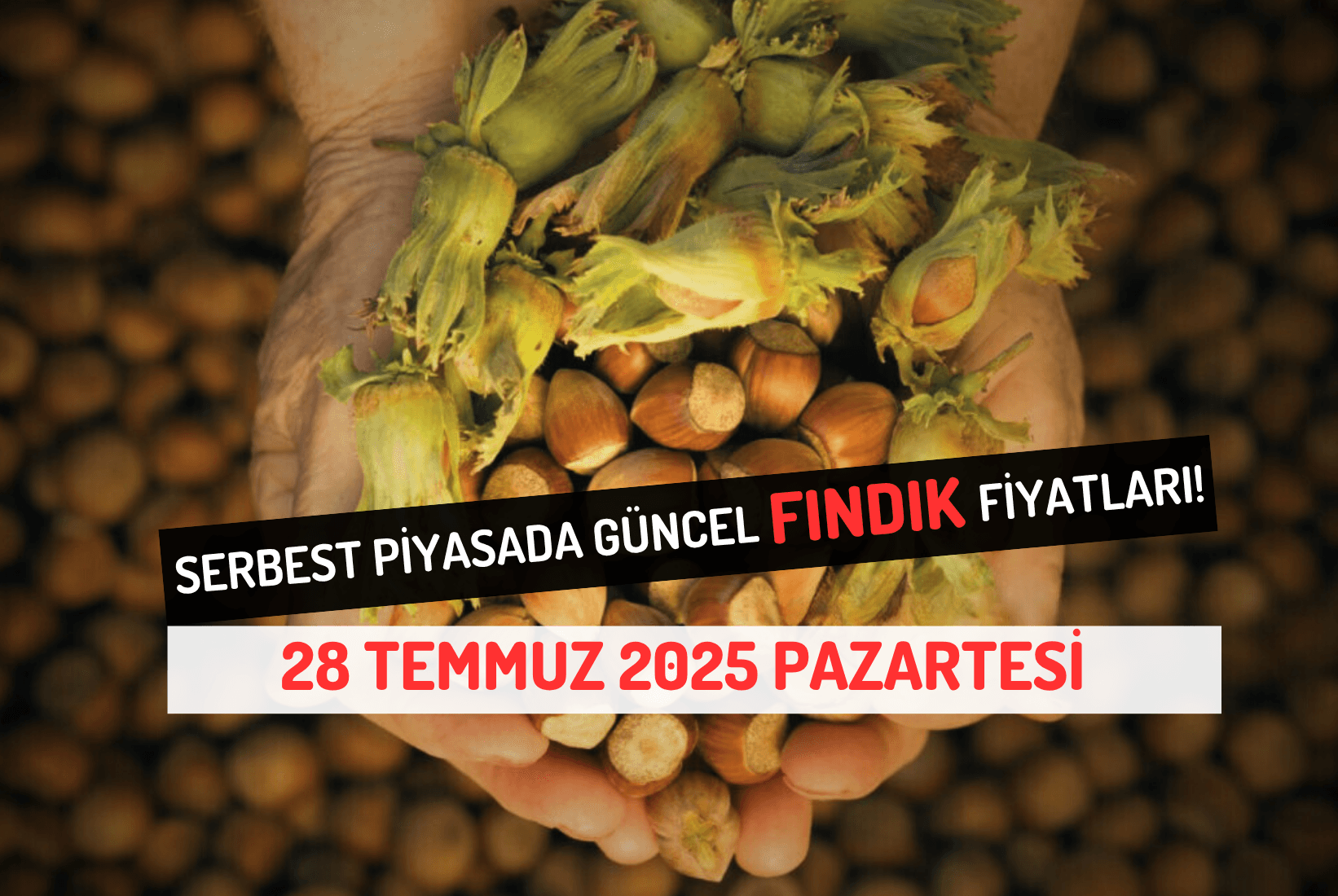 Serbest Piyasada Güncel FINDIK Fiyatları! 28 TEMMUZ 2025 PAZARTESİ ...